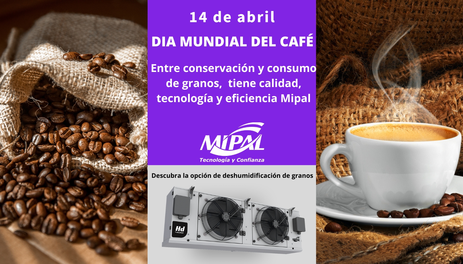 Dia Mundial del Café - Mipal