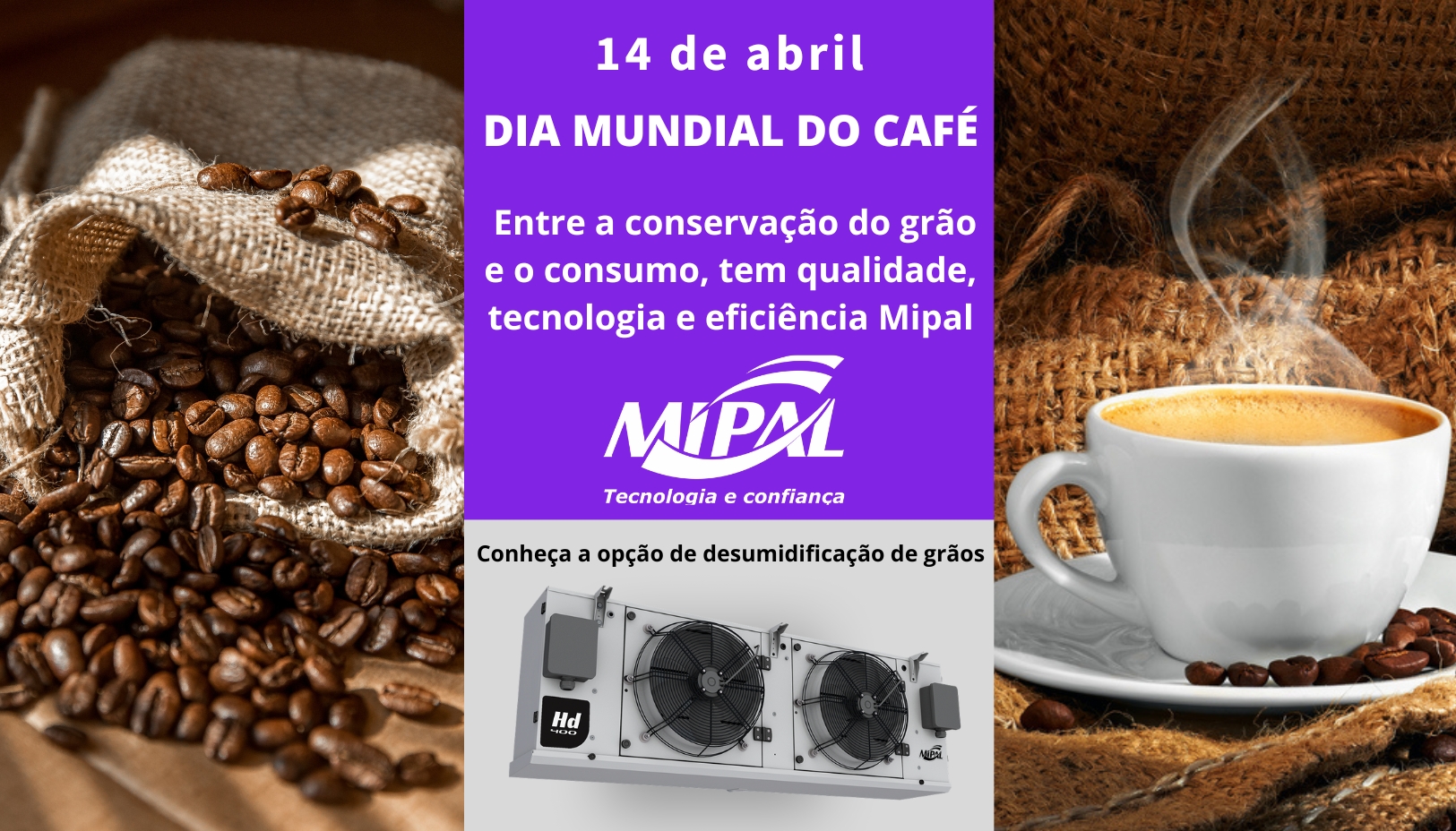 Dia Mundial do Café - Mipal • Evaporadores e Condensadores